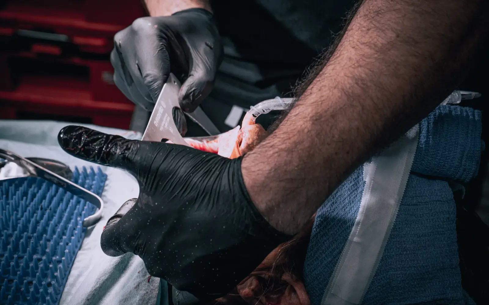 Home - AOX ACADEMY - Master ALL-ON-X